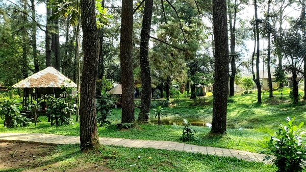 10 Potret Pinusan Lampung Barat Yang Mempesona